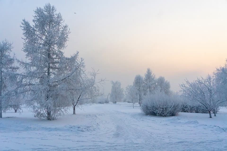 Météo : grand froid, vent et flocons de neige en plaine ces prochains jours en Occitanie