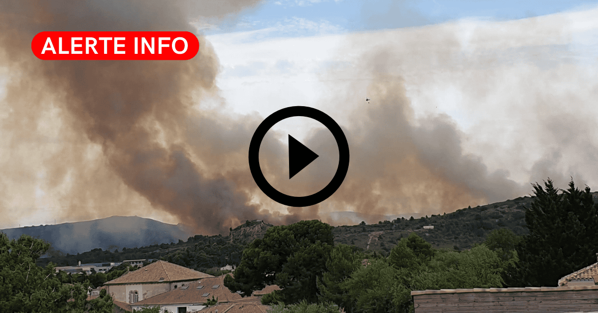 Aude : un virulent feu de forêt se déclare au nord de Narbonne, d ...