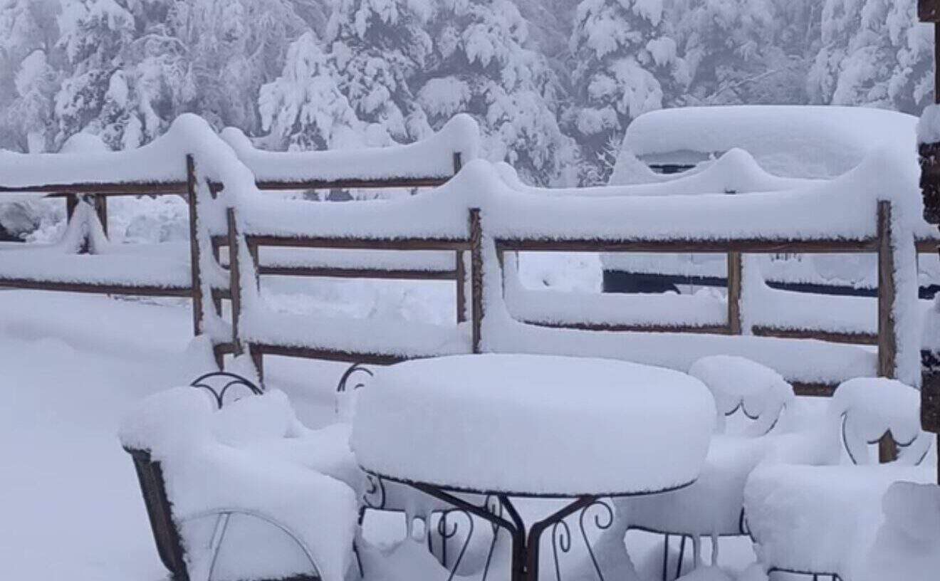 Météo : découvrez les images du Mont-Lozère sous 30 à 40 cm de neige